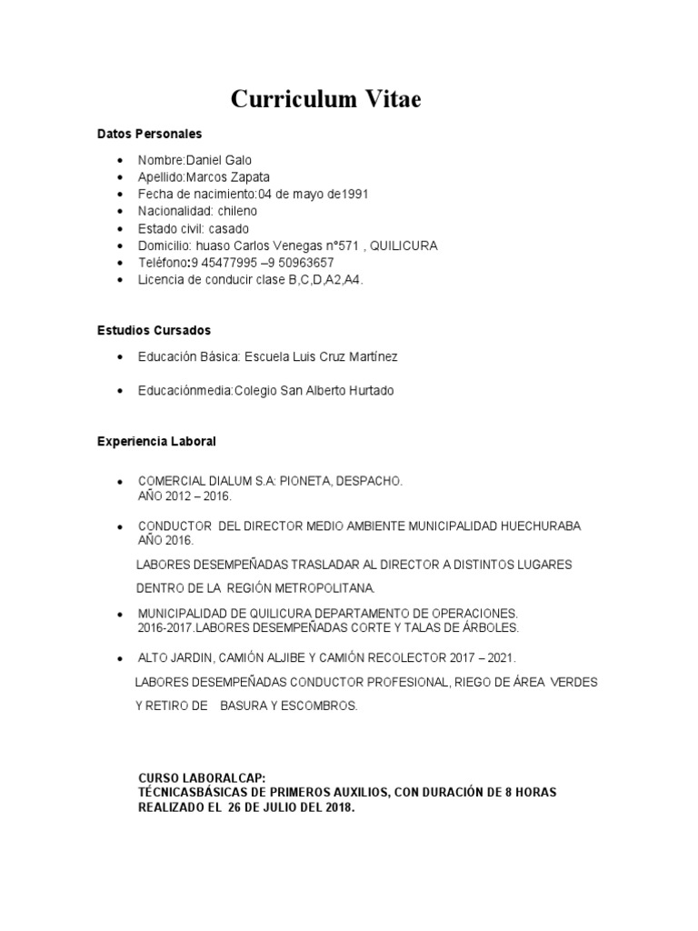 Curriculum Vitae Daniel | PDF