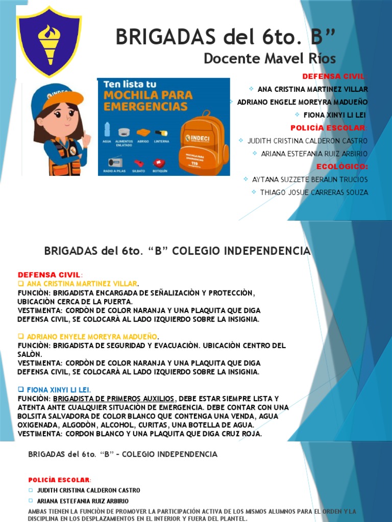 Brigadas de Seguridad en Colegios | PDF | Seguridad Pública | Gestión ...