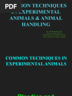 Intraperitoneal Ip Injection in Rats and Mice Sop | PDF | Injection ...