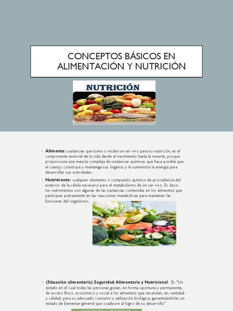 Conceptos Básicos en Alimentación y Nutrición | PDF | Alimentos | Nutrición