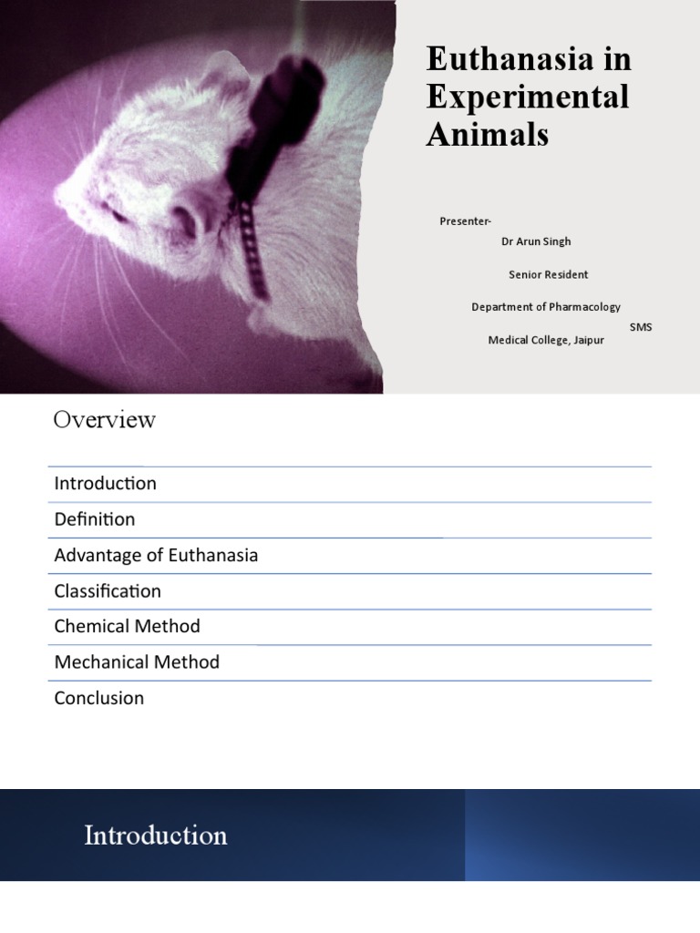 Euthanasia in Experimental Animals | PDF | Anesthesia | Medicine