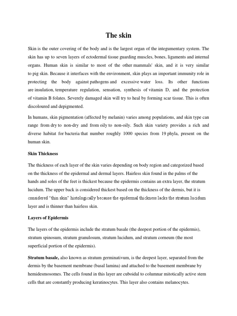 Skin | Download Free PDF | Skin | Epidermis Skin | Download Free PDF | Skin | Epidermis