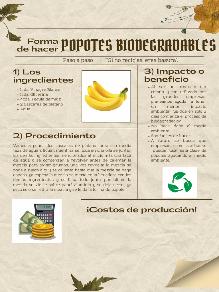 Popotes Biodegradables | PDF