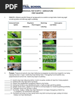 Summative Test - EPP-ICT Grade 5 | PDF