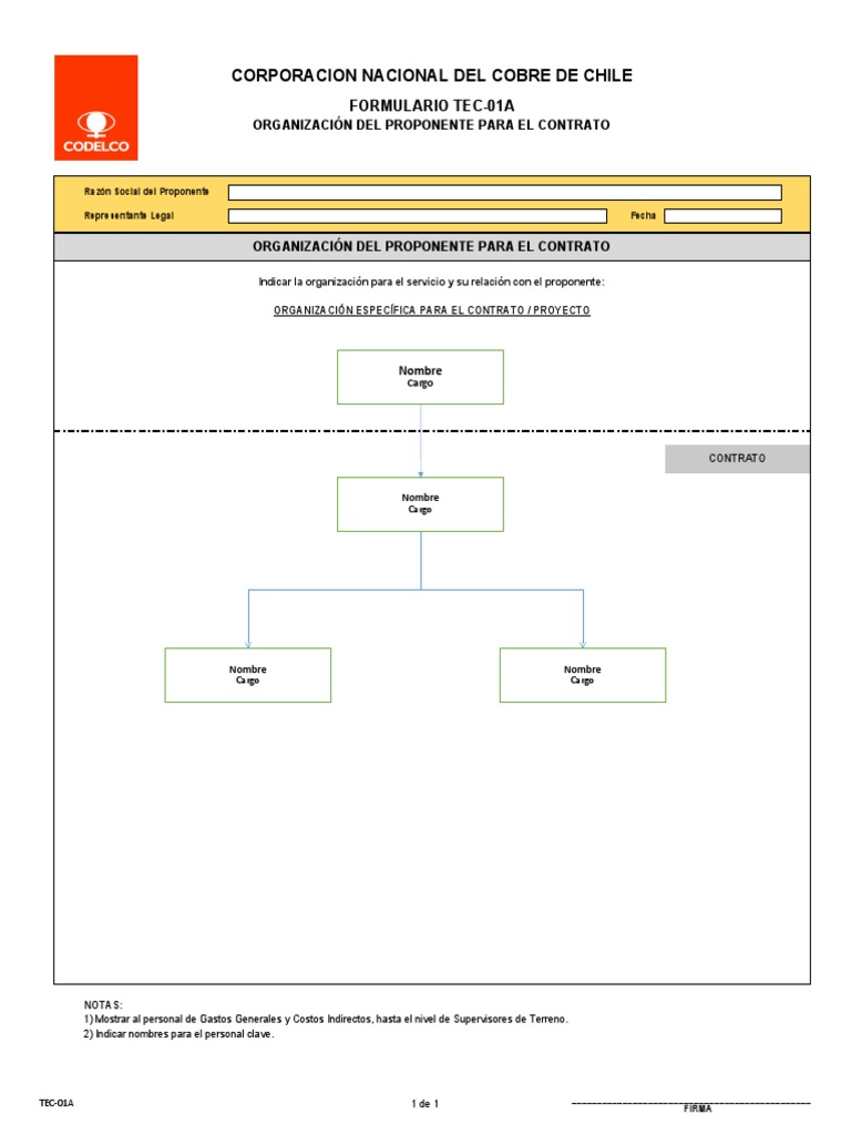 TEC-01A Organizacio Ün Del Proponente para Contrato | PDF