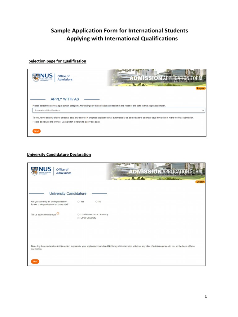 Cat D Sample Application Form | PDF | Educational Stages