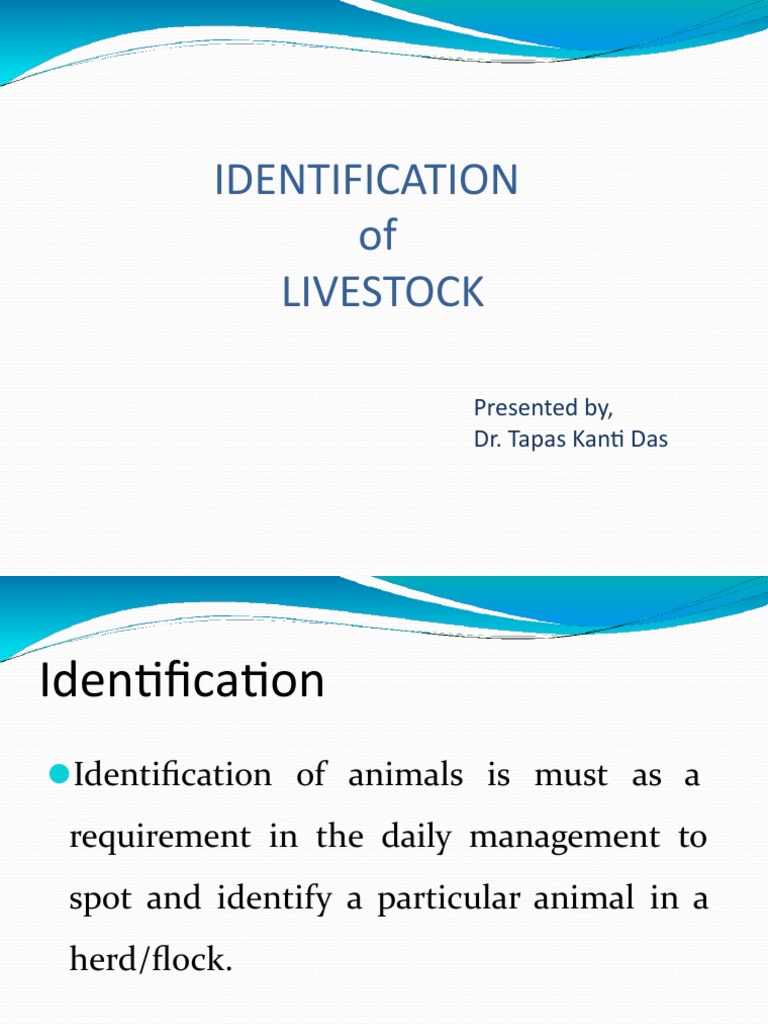 Livestock Identification Methods Explained | PDF | Cooking, Food & Wine ...