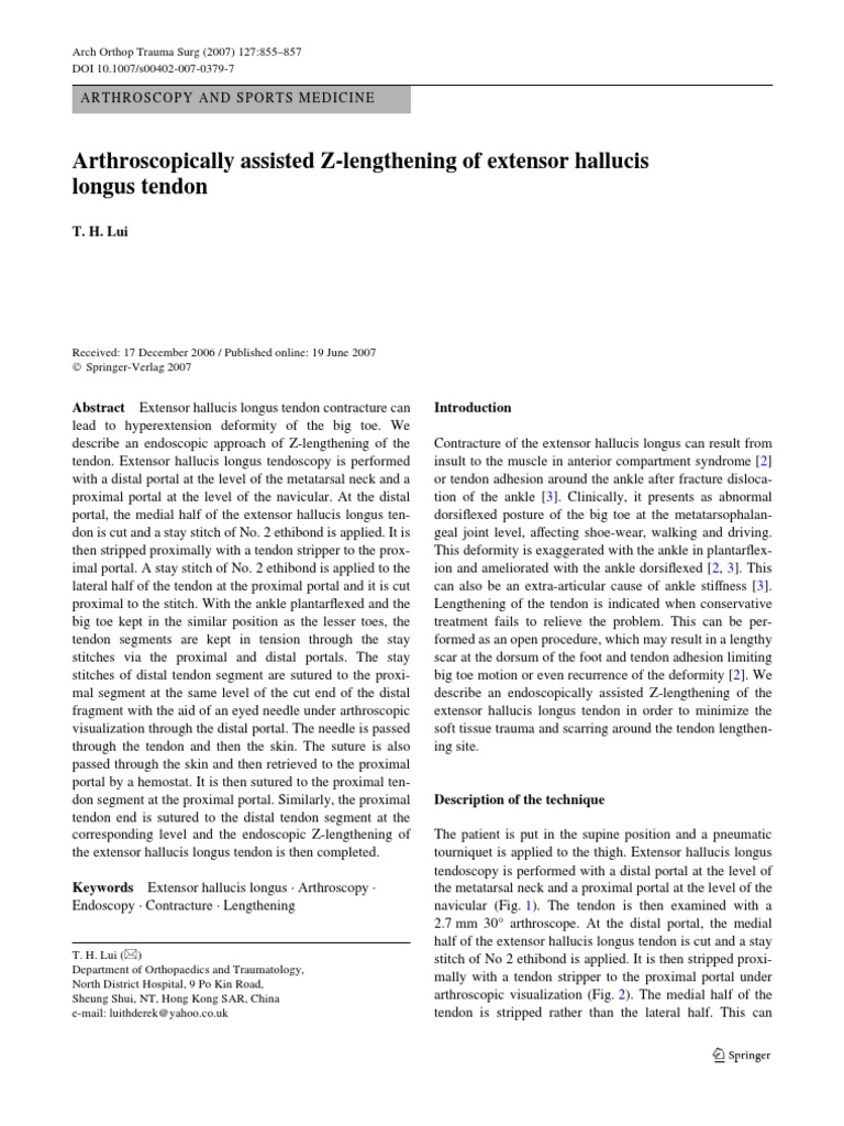 Lui 2007 | Download Free PDF | Ankle | Foot Lui 2007 | Download Free PDF | Ankle | Foot