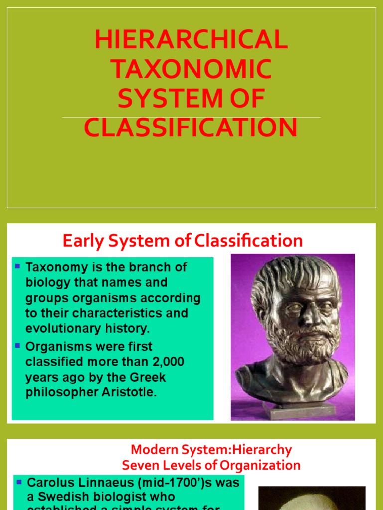 Hierarchical Taxonomic Classification System | PDF | Taxonomy (Biology ...