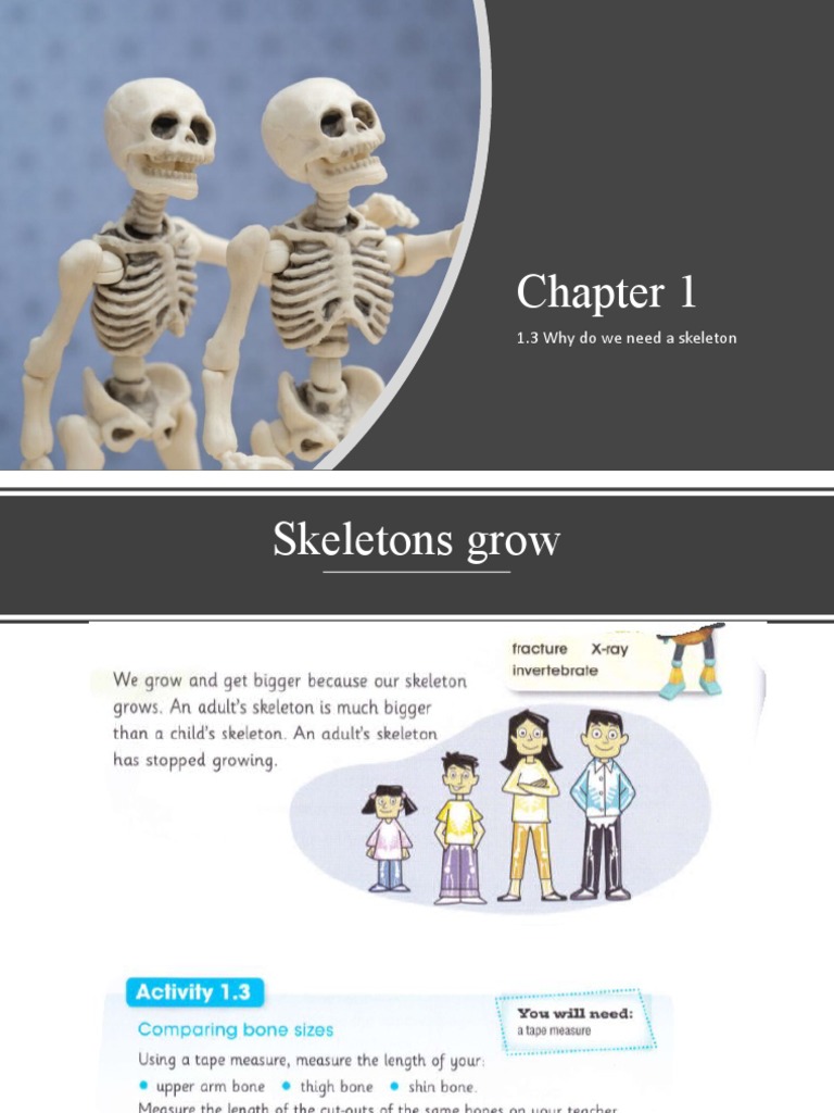 Chapter 1 1.3_Why do we need a skeleton + 1.4_skeletons and movement | PDF