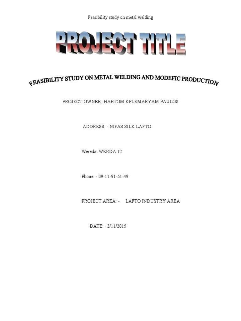 Businesses Proposal For Metal Welding in Ethiopia | PDF | Economic ...