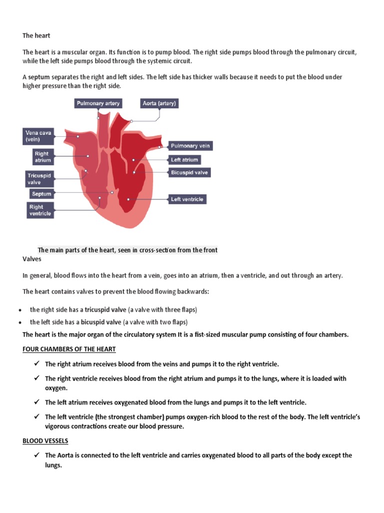 Self Study Material | PDF | Travel | Wellness