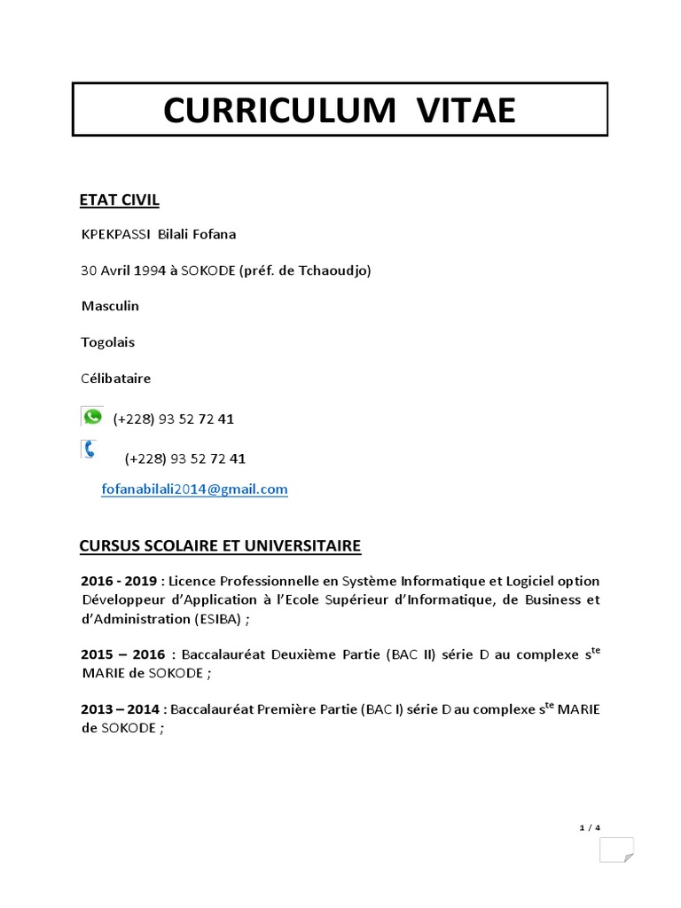 CV de Bilali Fofana - Développeur Web | PDF | Programmation web | Java ...
