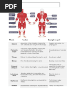 GCSE PE Muscular System Revision Guide | PDF | Anatomical Terms Of ...
