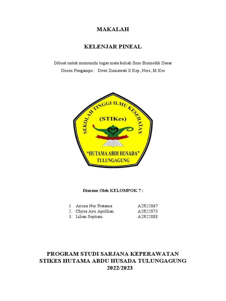 Makalah Ibd 1 | PDF