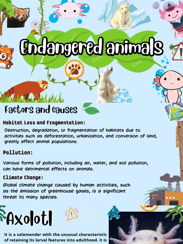 Endangered Animals | PDF | Home & Garden