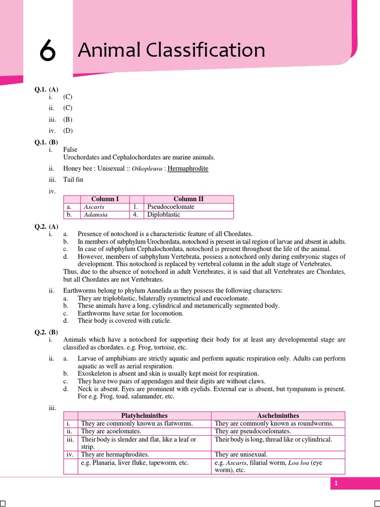 Animal Classification Chapter Assessment Science and Technology Part 2 ...