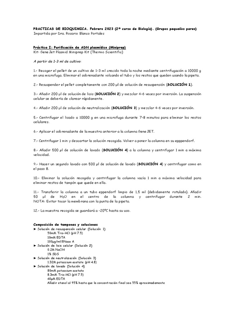 Protocolo Miniprep 2023 Pdf
