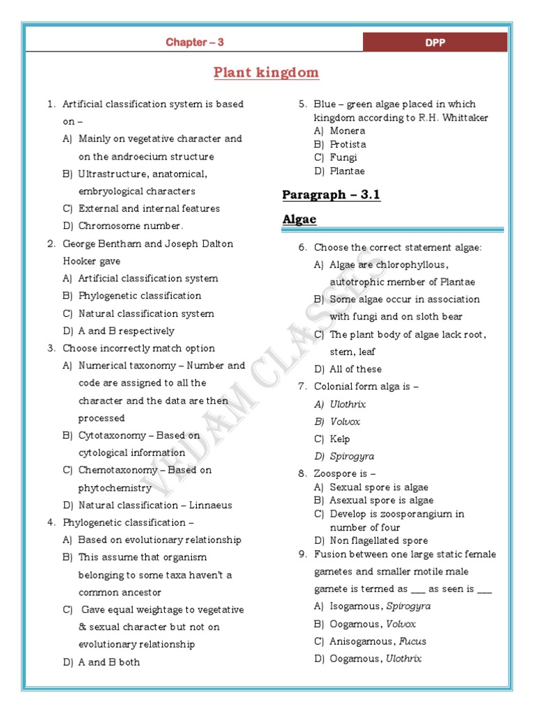 Plant Kingdom Classification Overview | PDF | Fertilisation | Plant ...