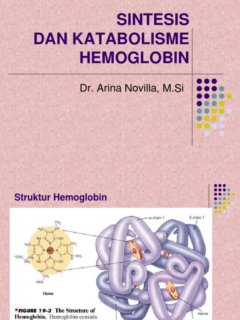 SINTESIS Dan KATABOLISME HEMOGLOBIN | PDF