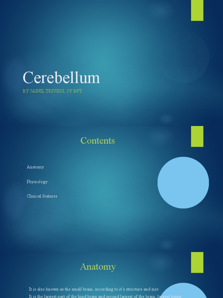 Cerebellum | Download Free PDF | Cerebellum | Neuroscience