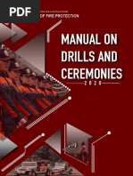 BFP Logo and Insignia Specifications | PDF