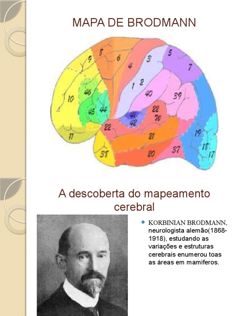 Mapa de Brodmann | PDF