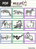 Year 4 Module 8 Amazing Animals Worksheets | PDF | Tiger | Tyrannosaurus