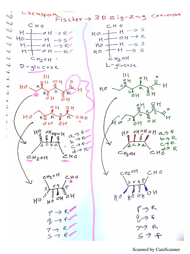 Projection Formula Conversion Stereochemistry Basics | PDF
