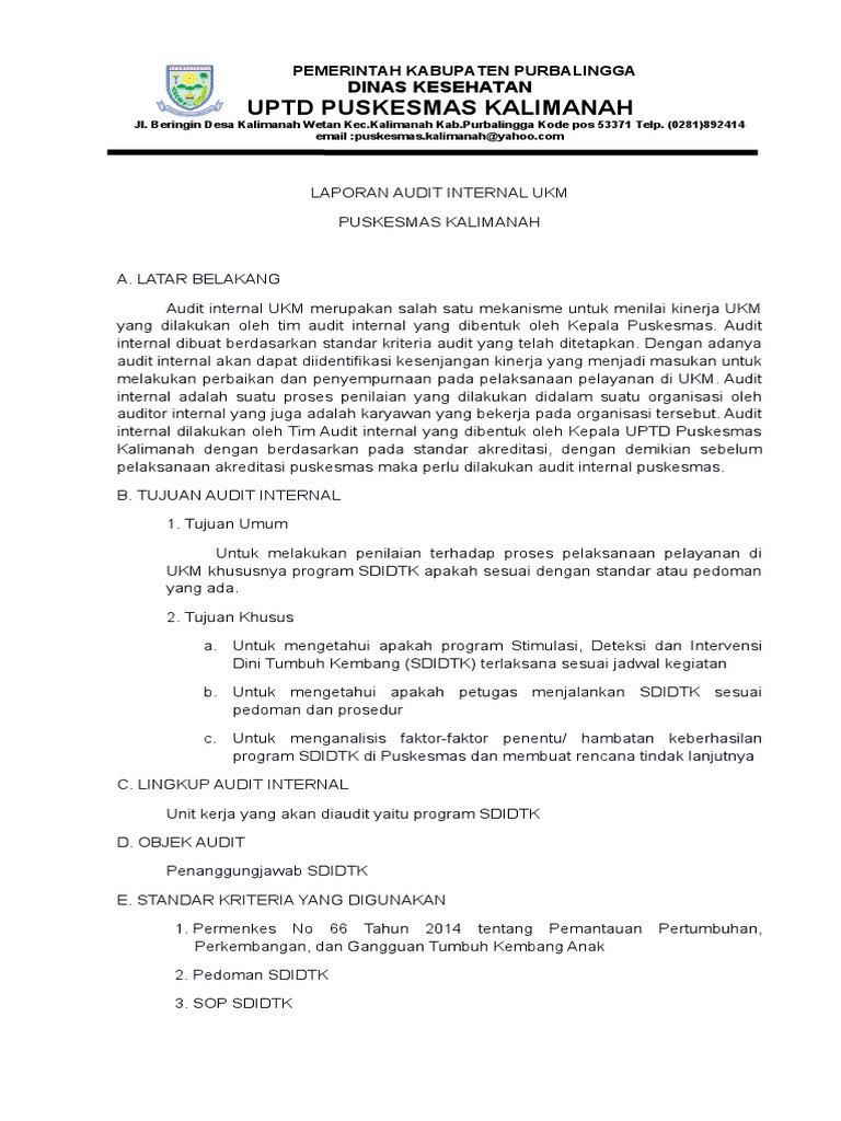Laporan Audit Internal | PDF