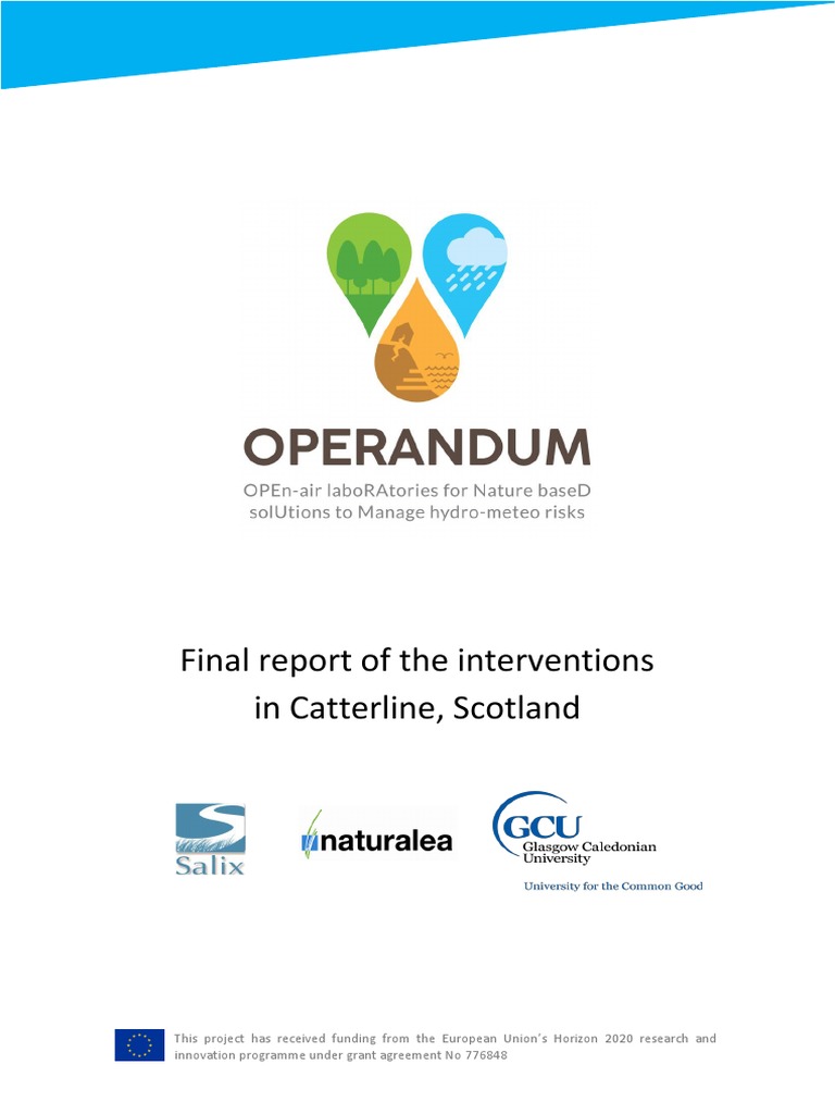 Final Report Catterline Interventions en | PDF | Earth Sciences ...