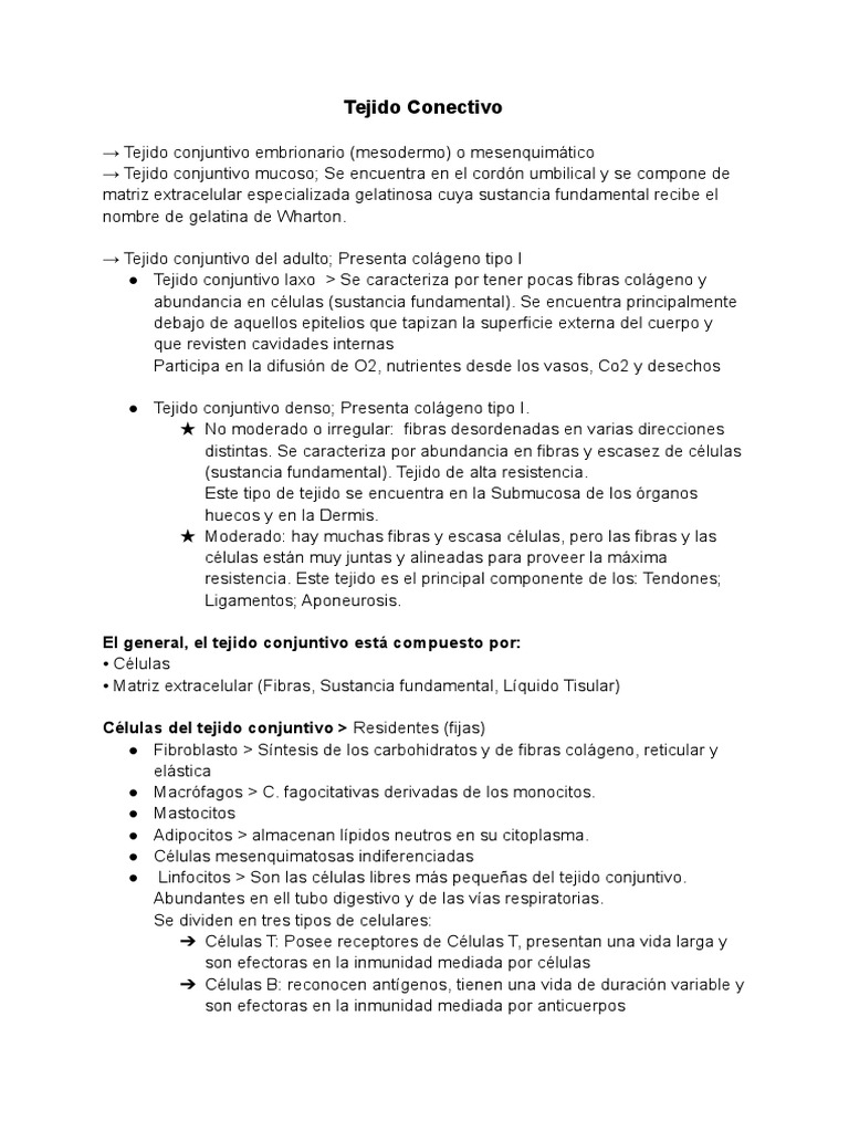Tejido Conectivo | PDF | Tejido conectivo | Anatomía