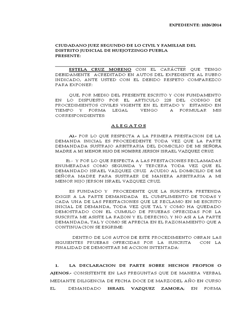 Alegatos sobre Custodia de Jerson Israel | PDF | Caso de ley | Demanda ...