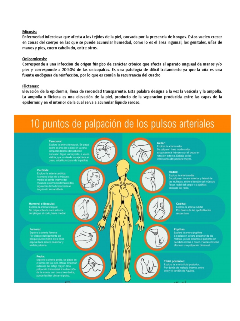 Pulsos Human Body | PDF | Clavo (anatomía) | Diabetes