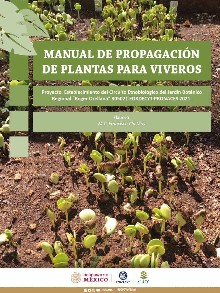 2021 - 07 Manual de Propagación Plantas Vivero | PDF | Semilla | Siembra