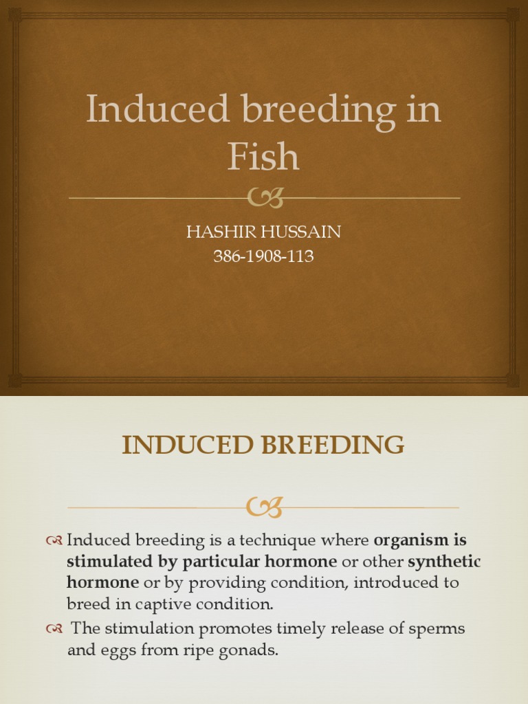 Copy-Induced Breeding in Fish | PDF