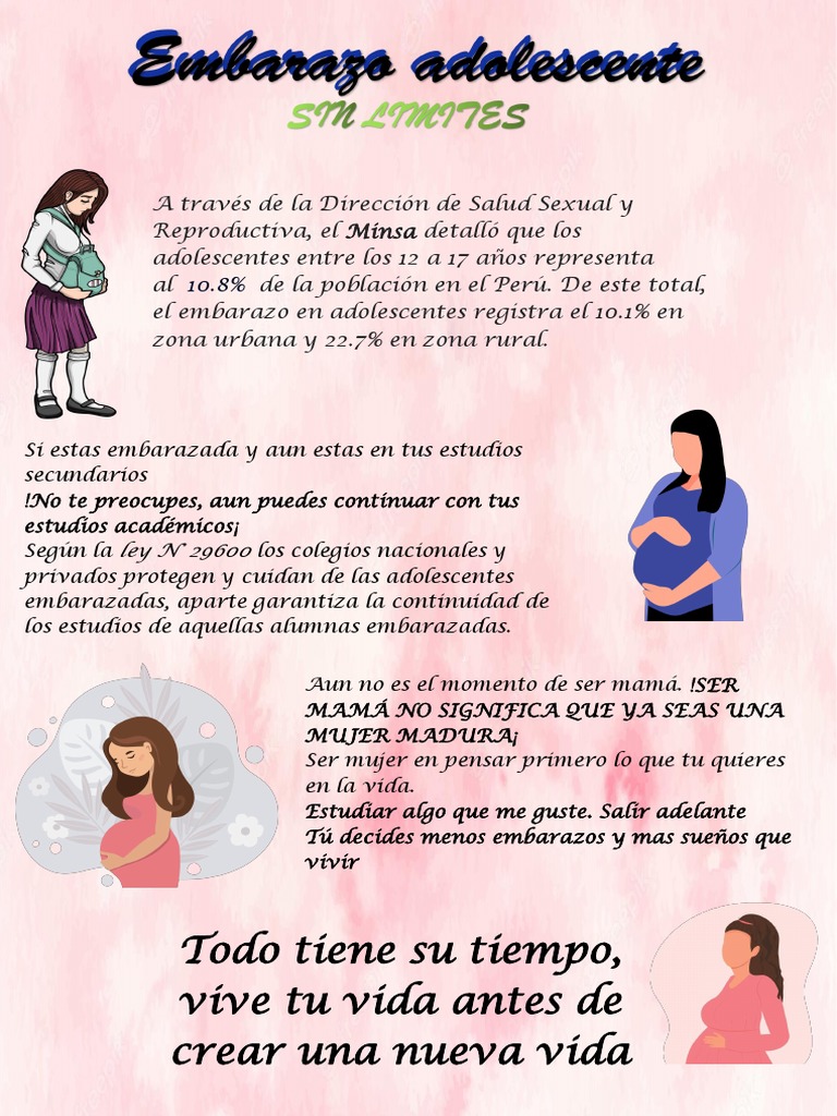 Afiche de DPCC | PDF