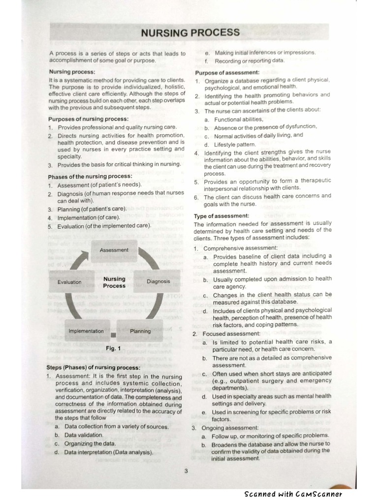 Nursing Process With Nanda Diagnosis | PDF