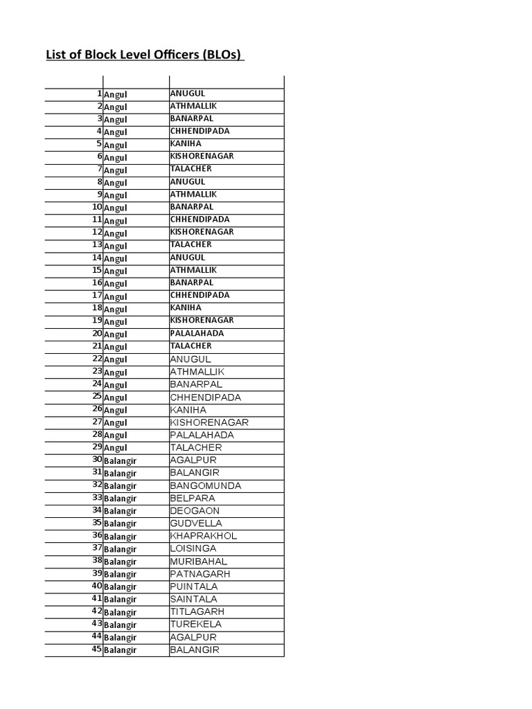List of Block Level Officers (BLOs) | PDF