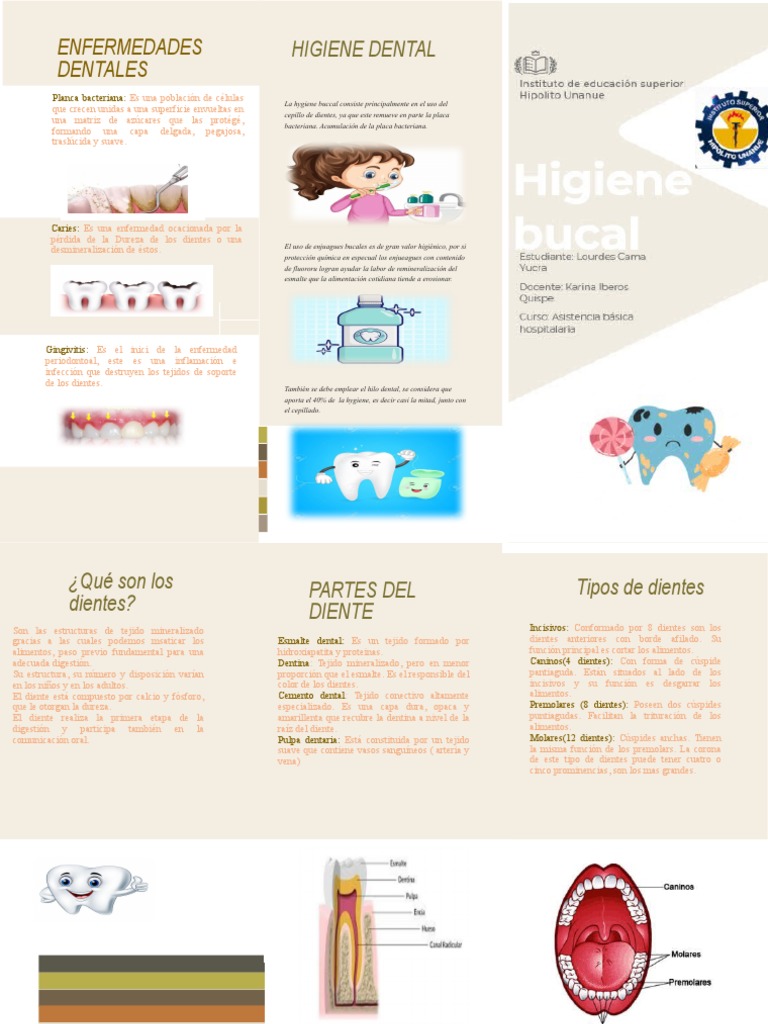 Higiene Dental y Salud Bucal Infantil | PDF | Diente | Esmalte de dientes