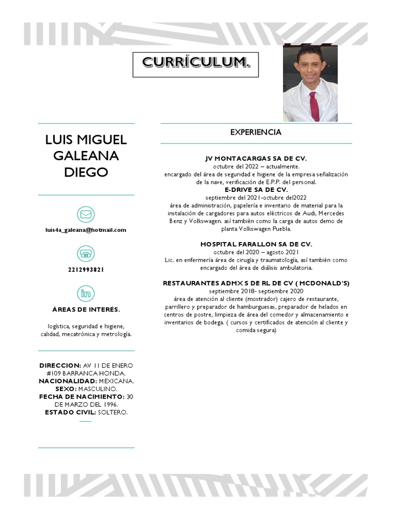 CV Luis Final | PDF