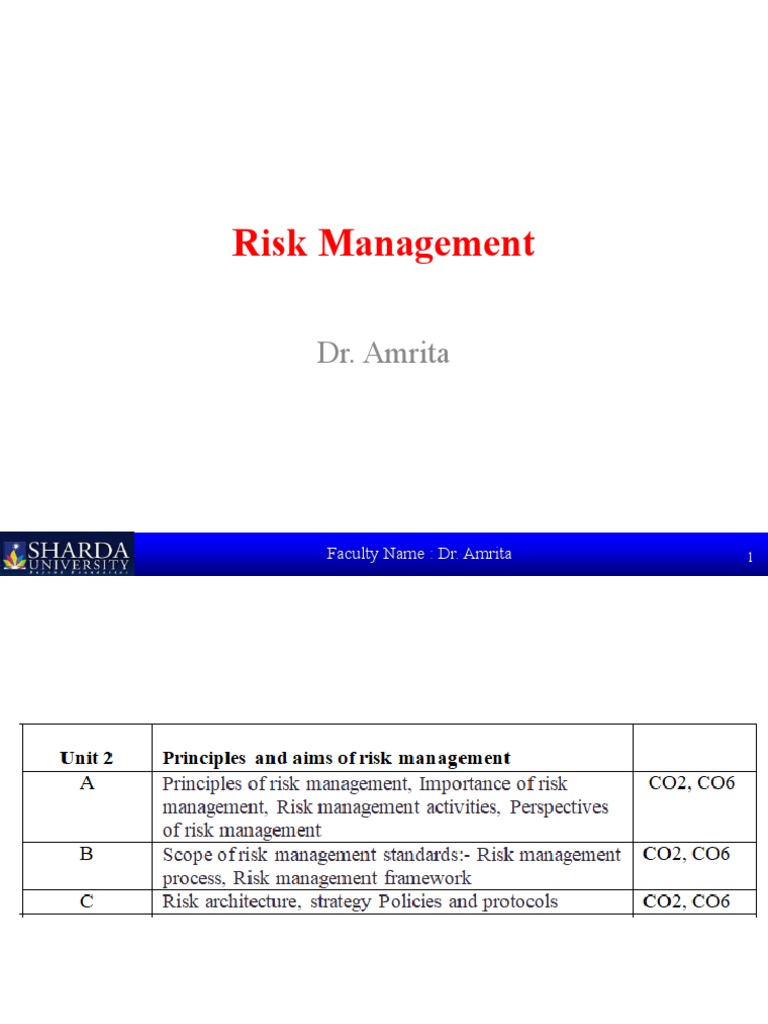 Risk Management Principles & Importance | PDF