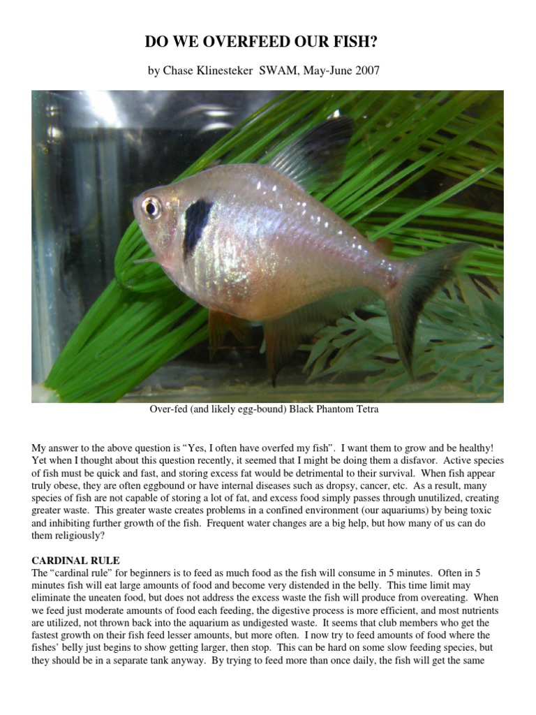 Do We Overfeed Our Fish | PDF | Aquarium | Nutrition