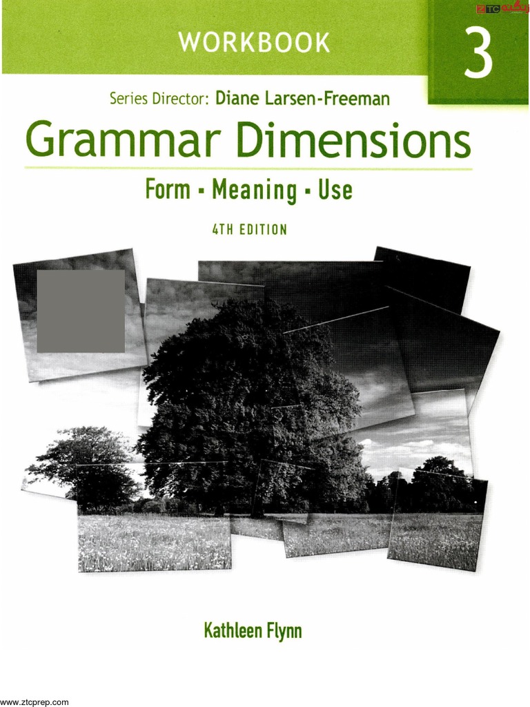 Grammar Dimensions 3 Work Book | PDF