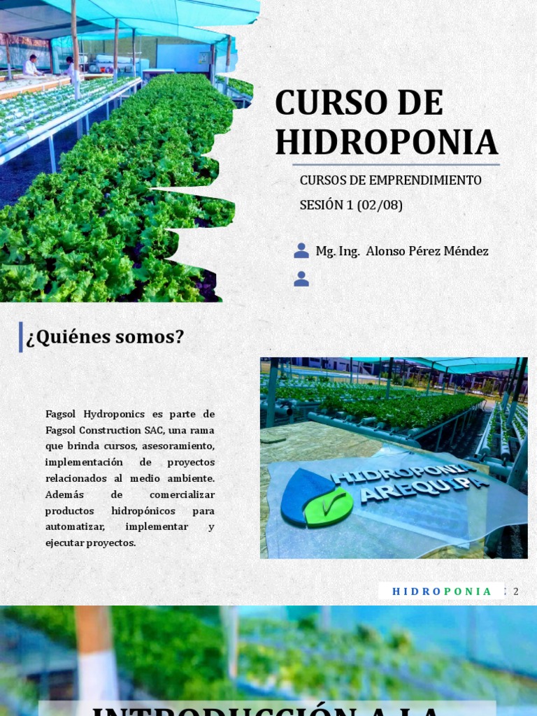 Hidroponia Completo | PDF | Hidroponia | Acuaponia