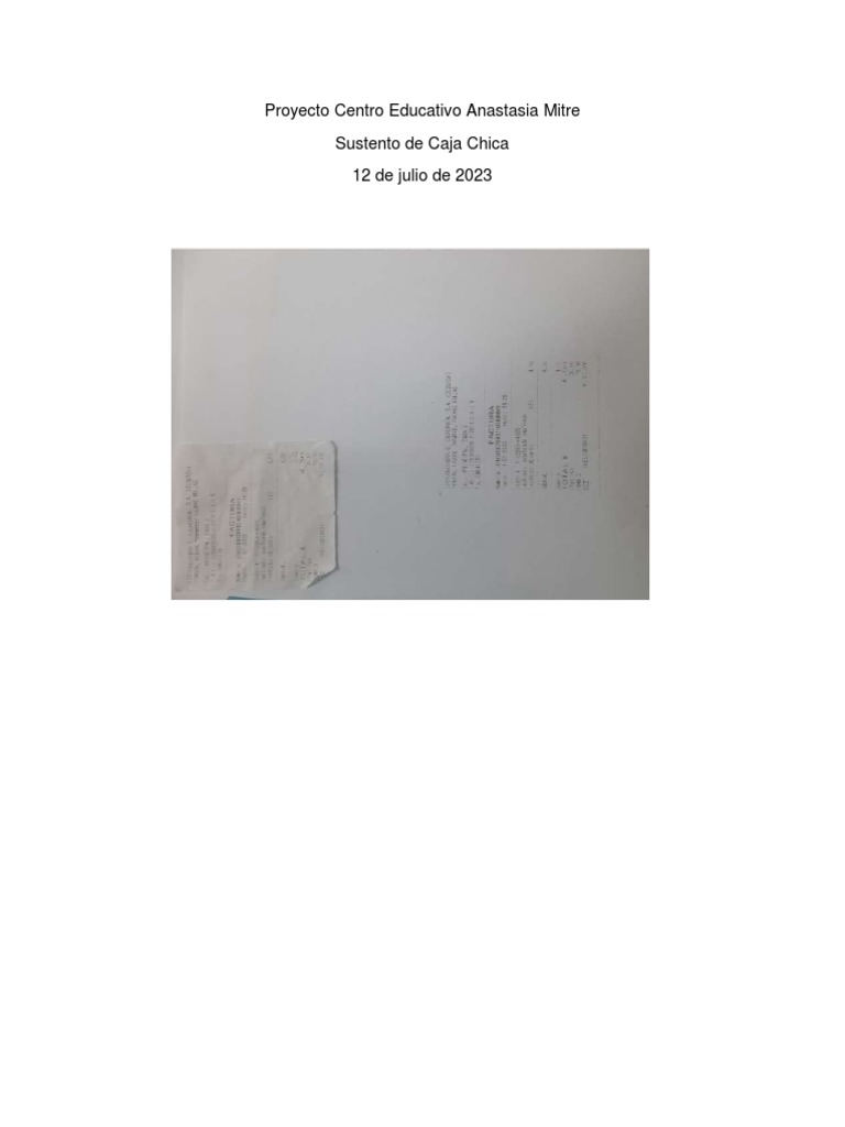 Sustento de Caja Chica - Proyecto Educativo | PDF