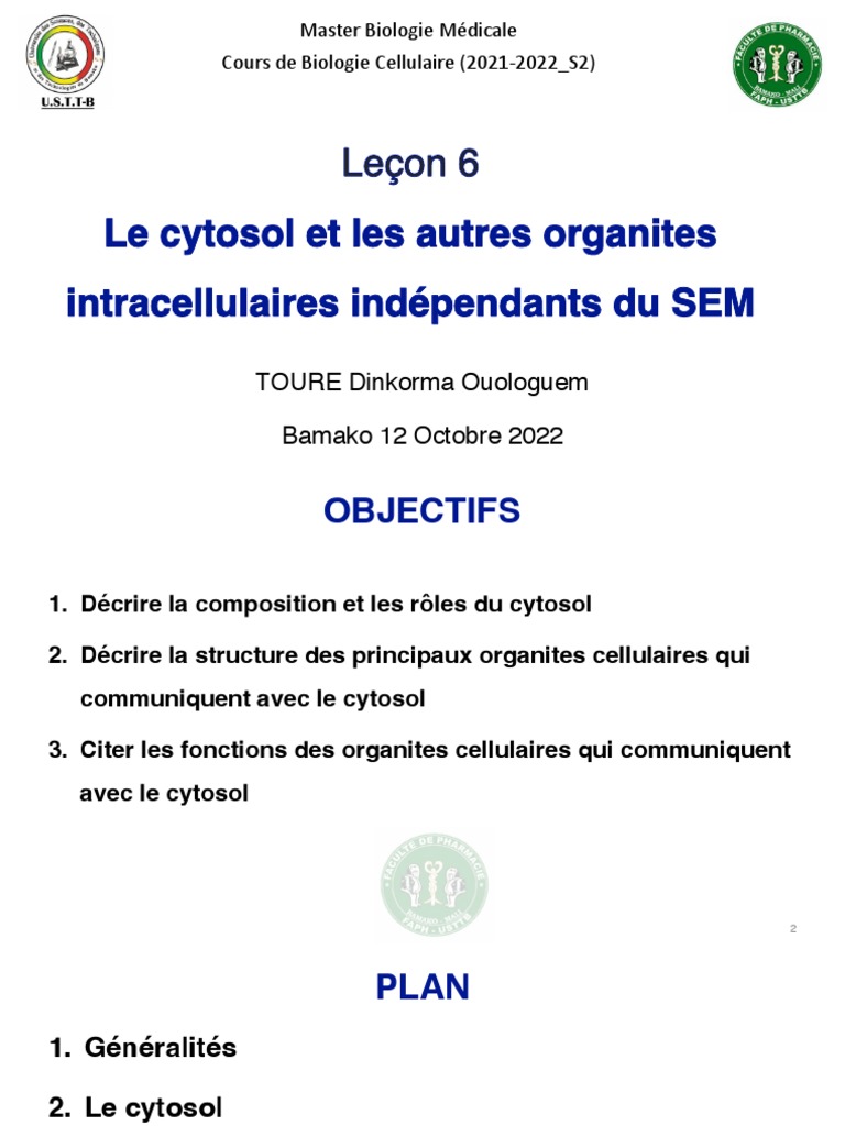 Composition et Rôles du Cytosol | PDF | Mitochondrie | Cytosol