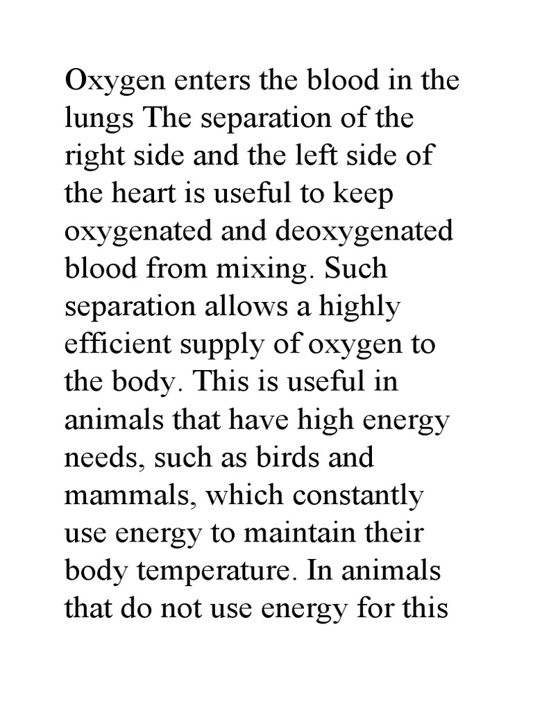 Oxygen Enters The Blood In The Lungs The Separation Of The Right Side