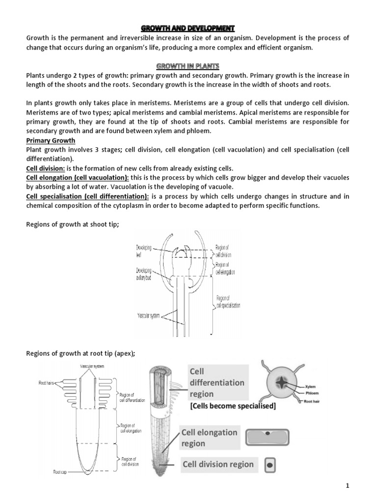 Notes - Growth and Development | PDF | Seed | Germination