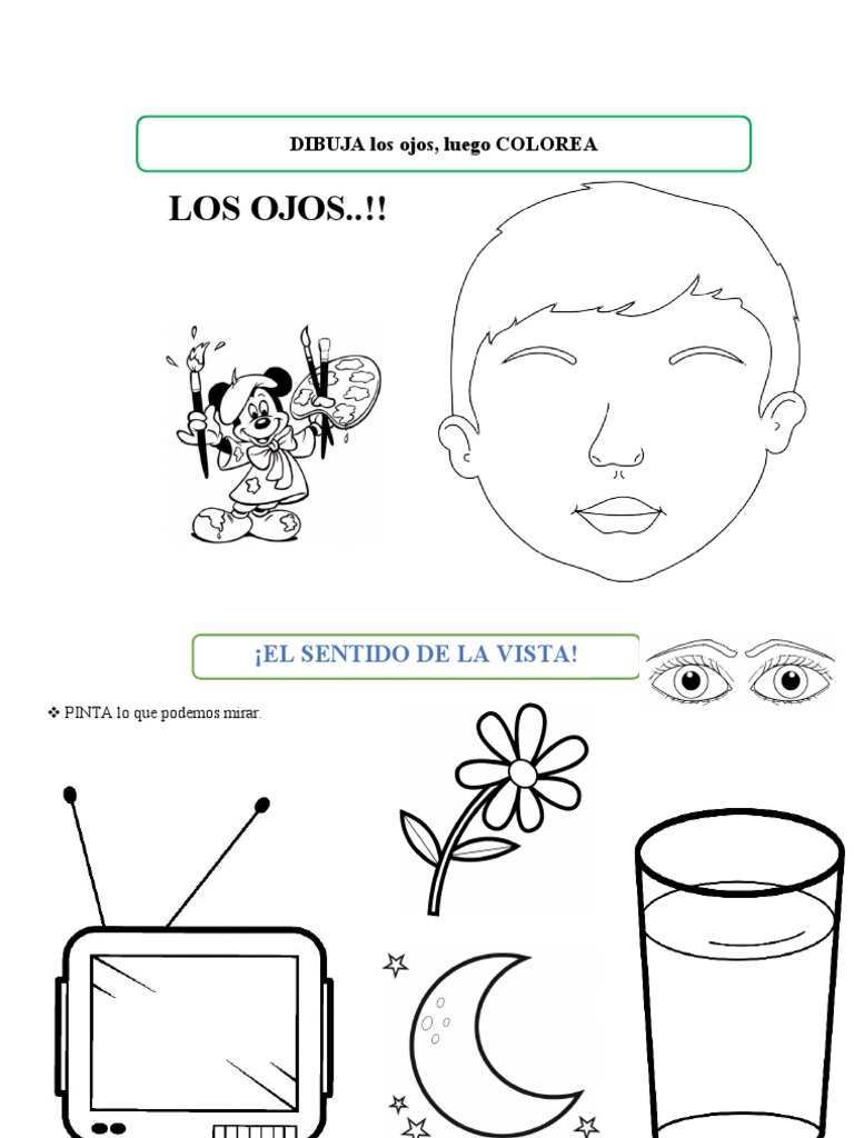 El Sentido de La Vista para Ninos de 2 Anos | PDF